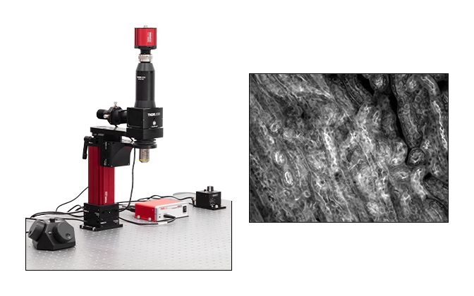 Thorlabs · Cerna® Mini Microscopes
