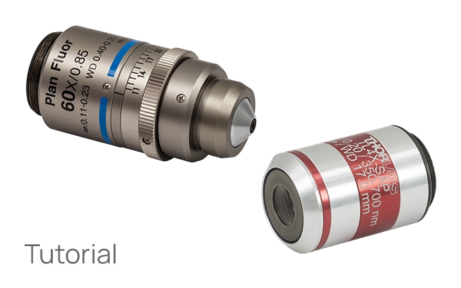 Thorlabs · Microscope Objective, Tube, and Scan Lens Tutorials