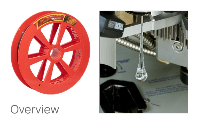Thorlabs · Fluoride Glass Optical Fiber