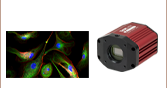 Thorlabs · Camera Lenses for Machine Vision