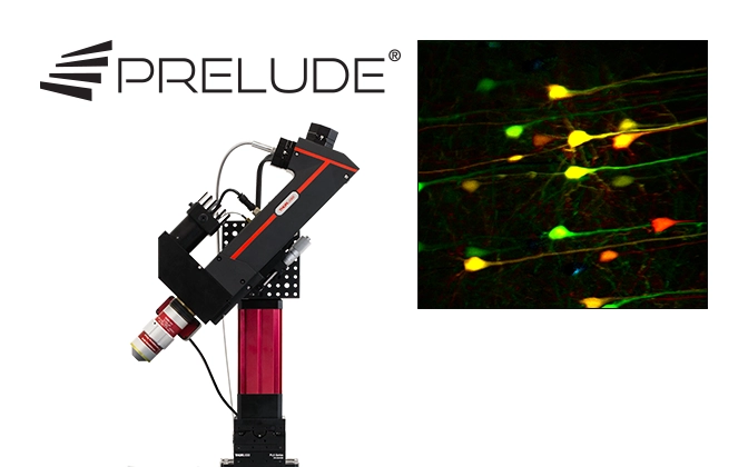 Thorlabs · Prelude® Functional Imaging Microscope